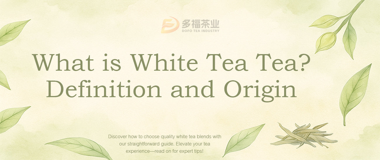 What is White Tea Tea? Definition and Origin – Chinese Tea Culture